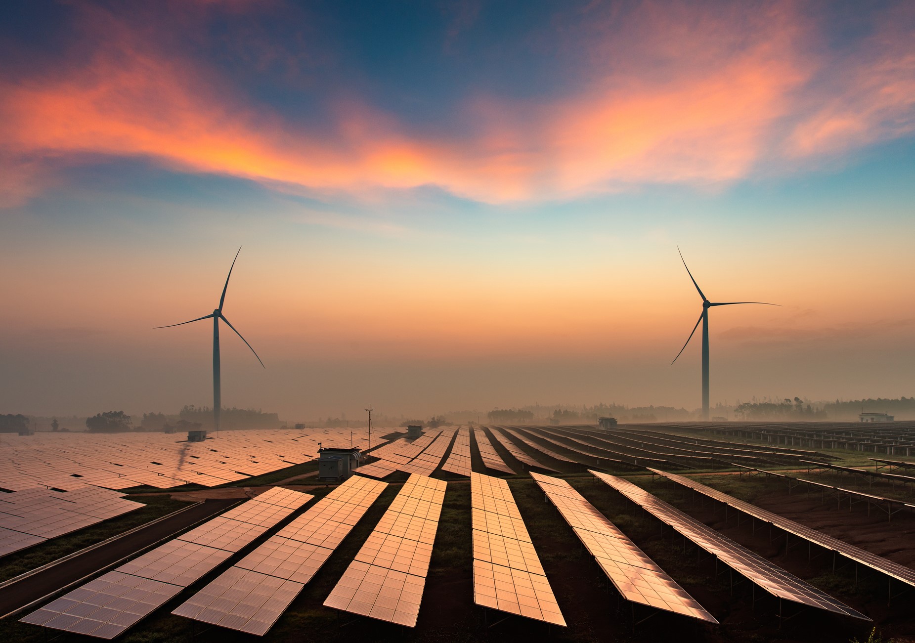 Putting the CFO at the heart of building a sustainable business | SAP ...